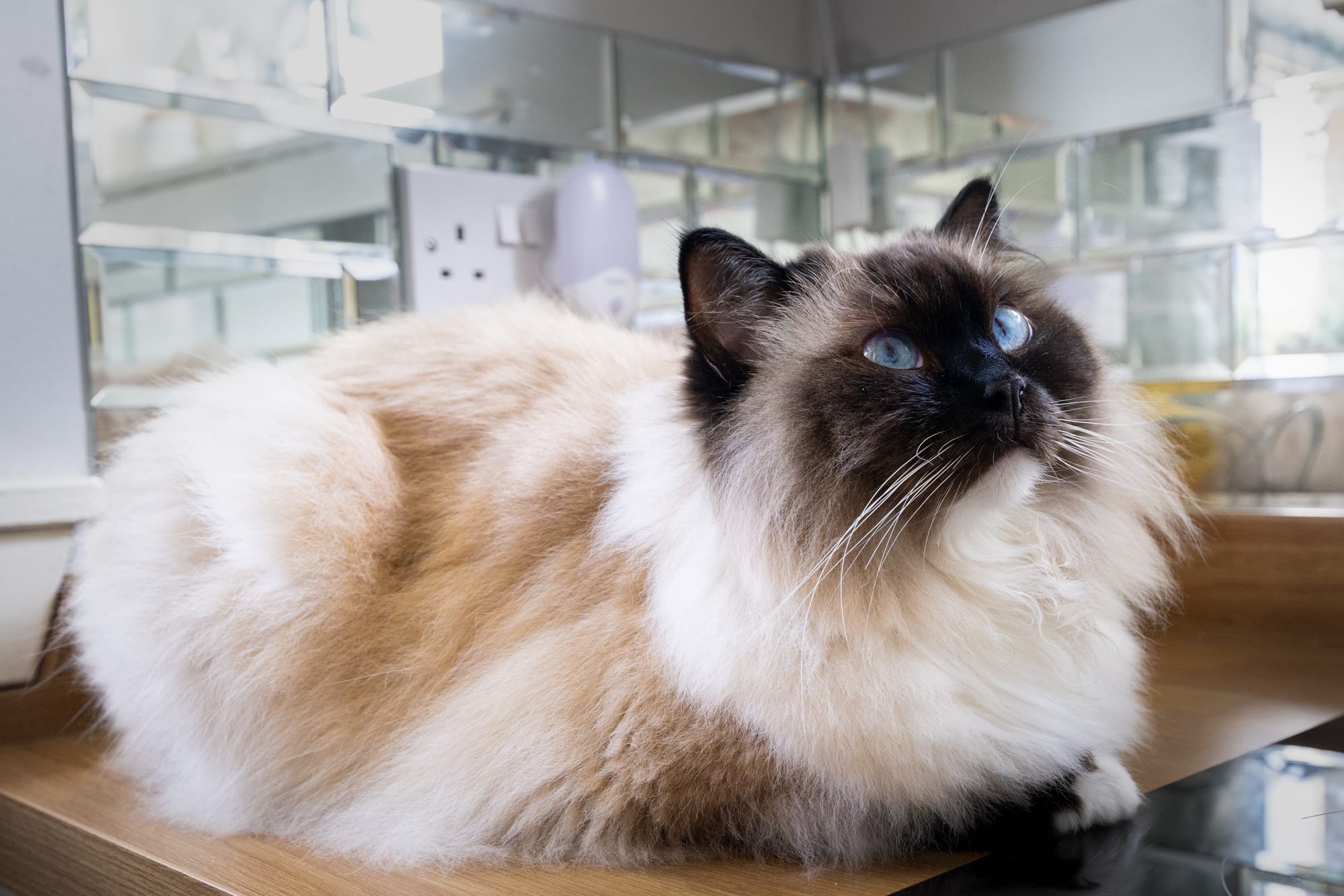 2 bed flat for sale in Main Street, Inverkip, PA16 | McArthur Scott